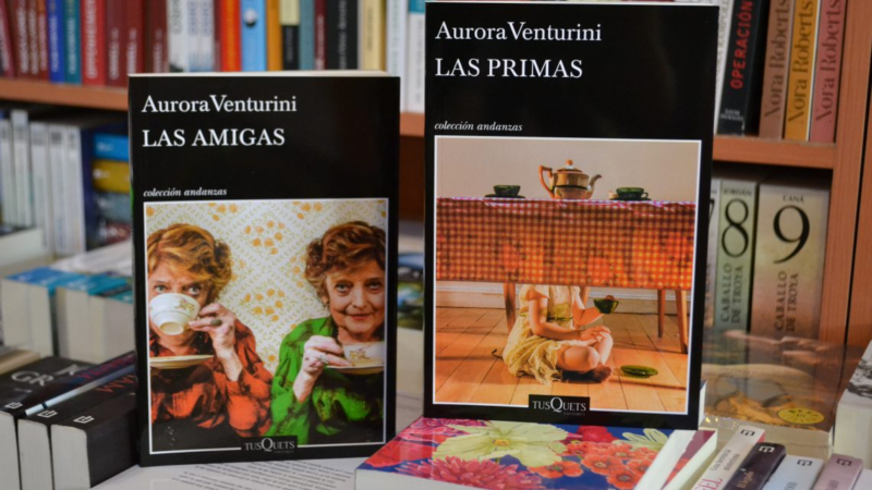 Em As Primas, amor, Arte e violência se misturam na Argentina dos anos ...